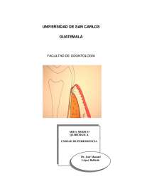 Periodonto normal periodonto normalperiodonto normalperiodonto normal ...