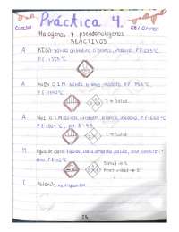 Practica 4 halogenos y pseudohalogenos. - Docsity