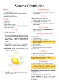Sistema Circulatório Resumo - Docsity
