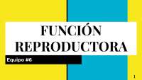 Función reproductora - Docsity