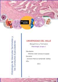 Las vesículas o glándulas seminales son las glándulas del aparato ...