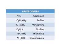 APUNTES BASES DEBILES. - Docsity