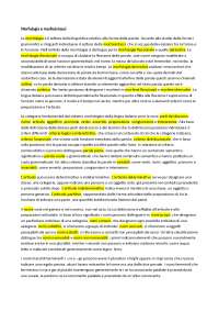 Morfologia e morfosintassi - Docsity