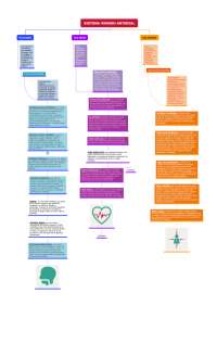 SISTEMA VENOSO ARTERIAL - Docsity
