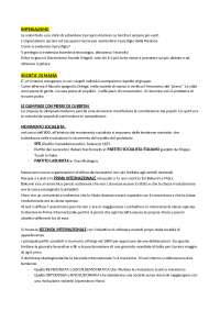 Programma quinto superiore storia - Docsity