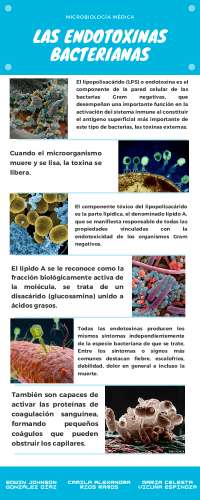 LAS ENDOTOXINAS - INFOGRAFÍA 3 - Docsity