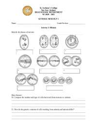 Stages of Cell Division - Docsity