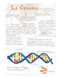 La Cellula- schema di scienze biologiche - Docsity