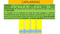 Capilaridad - 1 semana - Docsity