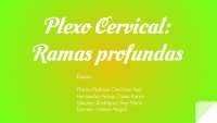 Datos del plexo cervical - Docsity