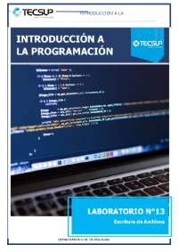 Lab 13 Introducción a la programación - Docsity