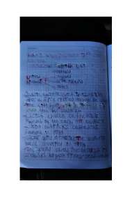 Imagenes e historia de san patricio en ingles - Docsity