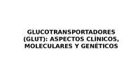 GLUCOTRANSPORTADORES (GLUT) ASPECTOS CLÍNICOS, MOLECULARES Y GENÉTICOS ...