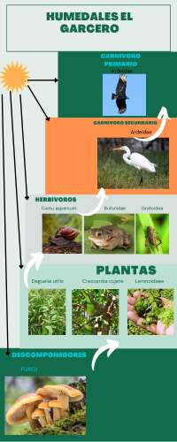 Actividades y ejercicios variados - Docsity