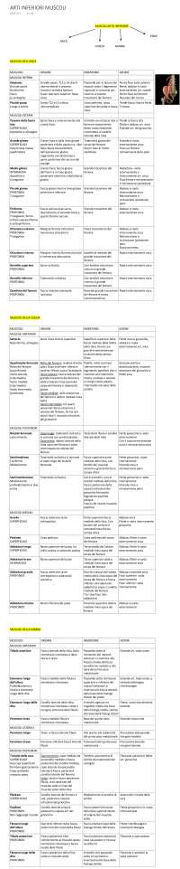 ANATOMIA- MUSCOLI ARTO INFERIORE | Schemi e mappe concettuali di Anatomia I | Docsity