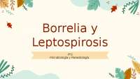 Borrelia y Leptospirosis - Docsity