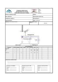 Formatos de control de calidad | Resúmenes de Diseño | Docsity