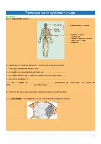 Exercices sur le système nerveux - Docsity
