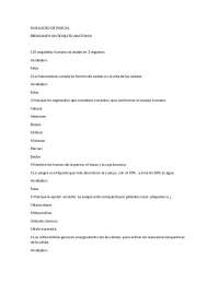 Simulacro Anatomia 2019 - Docsity