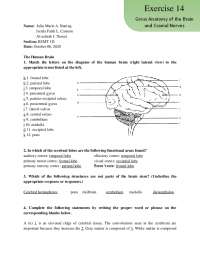 Anatomy and Physiology - Docsity