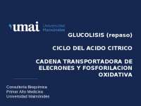 Glucolisis, cadena fosfoli, cadena transportadora de electrones - Docsity