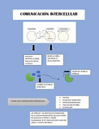 Comunicacion celular - Docsity