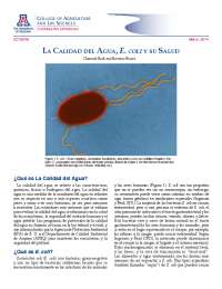 Estudios para llevar acabo - Docsity