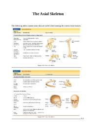 The Axial Skeleton (Labeled with functions & Descriptions) - Docsity