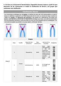 Clasificación Denver (cromosomas) | Apuntes de Medicina | Docsity