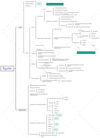 Esqueleto axial y apendicular - Docsity