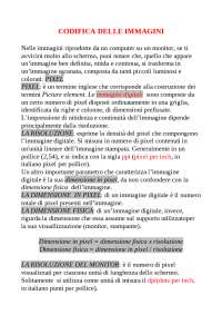 Codifica delle immagini | Schemi e mappe concettuali di Informatica ...