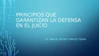 PRINCIPIOS DE LA DEFENSA EN EL JUICIO. - Docsity