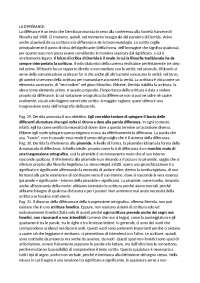 Riassunto e spiegazione di Différance di Derrida - Docsity