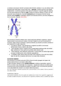 Le cellule - programma secondo anno liceo scientifico - Docsity