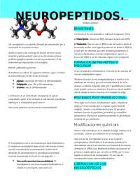 NEUROPEPTIDOS FISIOLOGIA - Docsity