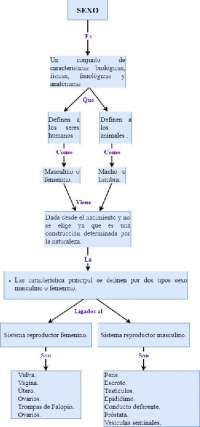 Mapa conceptual-Sexo - Docsity