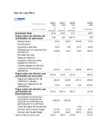 Flujo de caja de mercado libre - Docsity