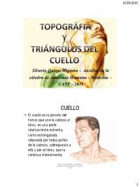 Triangulos del cuello - Docsity