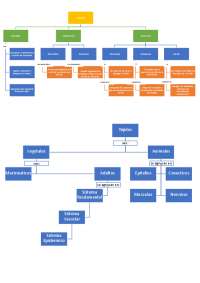 Mapa conceptual celula y tejidos - Docsity