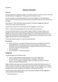 INFERMIERISTICA CLINICA 1 - LESIONI DA PRESSIONE - Docsity