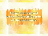 Organizador grafico clasificación de párrafos - Docsity