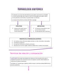 LA TERMINOLOGÍA BÁSICA - Docsity