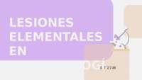 Lesiones elementales - Docsity