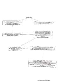 Naturalismo, mappa concettuale | Schemi e mappe concettuali di Italiano ...