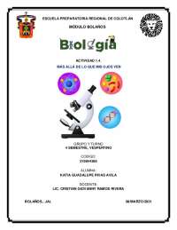 MICROSCOPIO Y SUS PARTES - Docsity