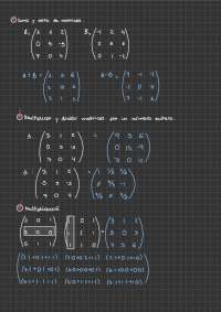 Operaciones simples con matrices - Docsity