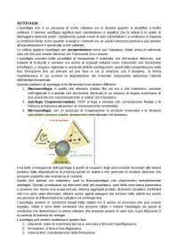 Morte cellulare: Autofagia - Docsity