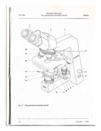 Componentes del microscopio - Docsity