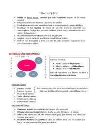 Tálamo óptico, resumen - Docsity