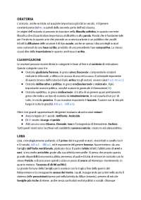 ORATORIA GRECA: Lisa, Isocrate, Demostene. | Appunti di Greco | Docsity